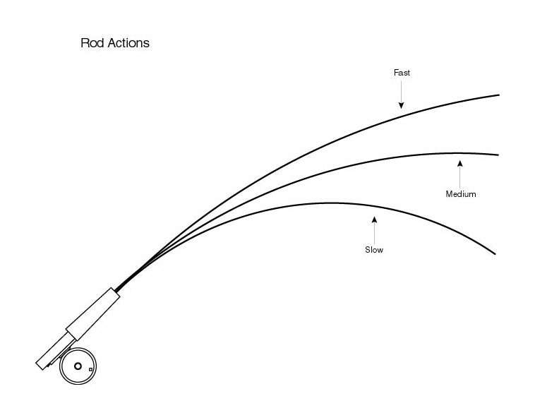 Fly Rod Action - Weymouth Rod Works